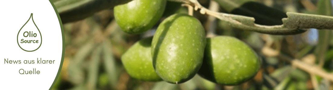 Klarheit von der Quelle bis zum Gaumen