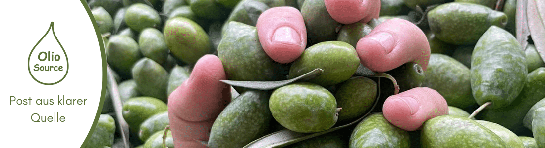 Olio Source Olivenölkampagne 2024